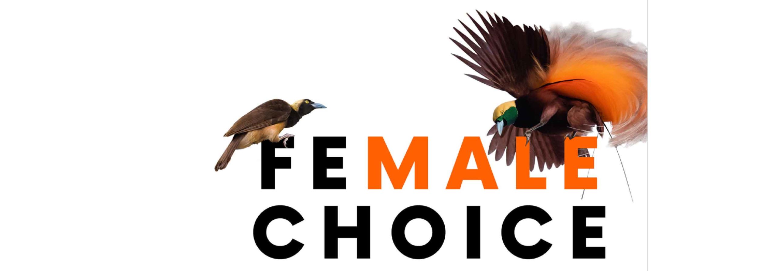 Female Choice – Evolutionary sexuality patterns and how they shaped our ...
